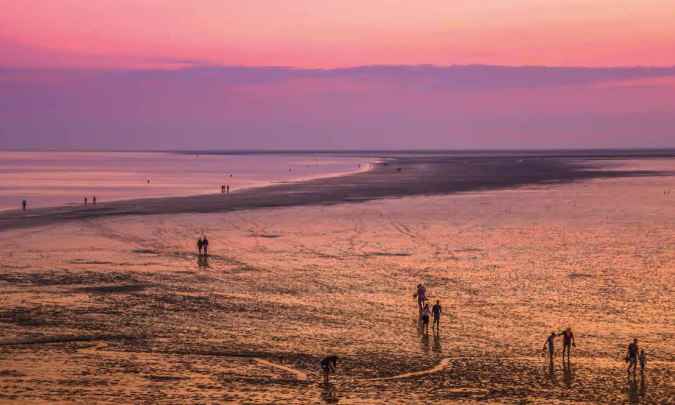 De Waddenzee: doen we Neerlands enige natuurlijke werelderfgoed ...