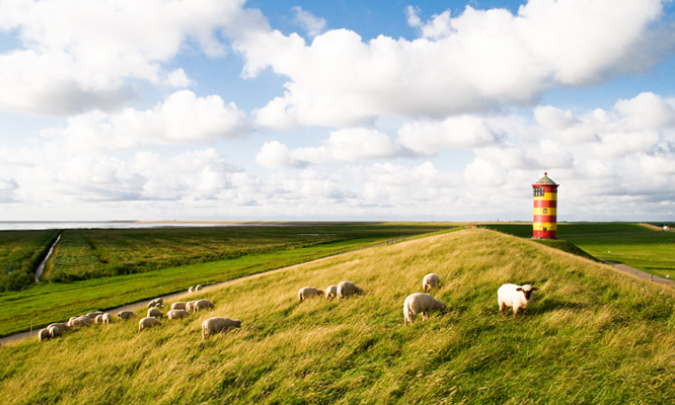 Dijken van Nederland